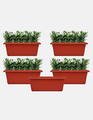 Long Rectangular Planter Terracotta Color 20inch (Set of 5) | Hope Nursery