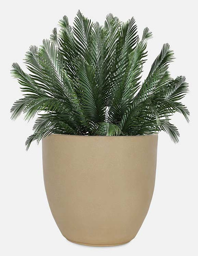 YUCCABE ITALIA Fox B Beige Fiber Planter For Plants ( 1 planter ...