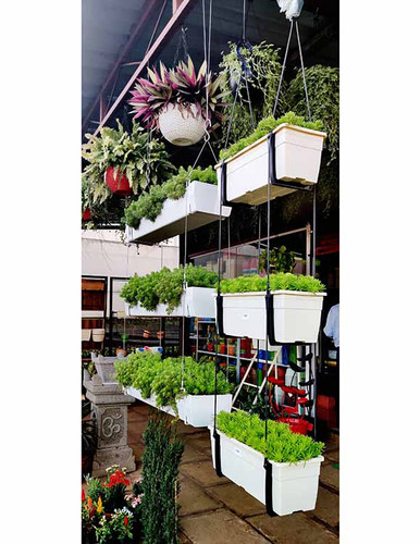 Rectangular Hanging Planter 16 inch (3 tier) | Hope Nursery