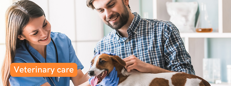 Vet care | SoFlaPets