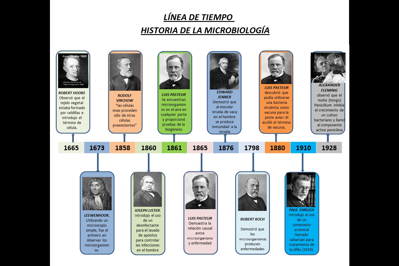 Linea Del Tiempo De La Historia De La Microbiología - MXEDUSA Linea Del Tiempo De La Historia De La Microbiología - MXEDUSA