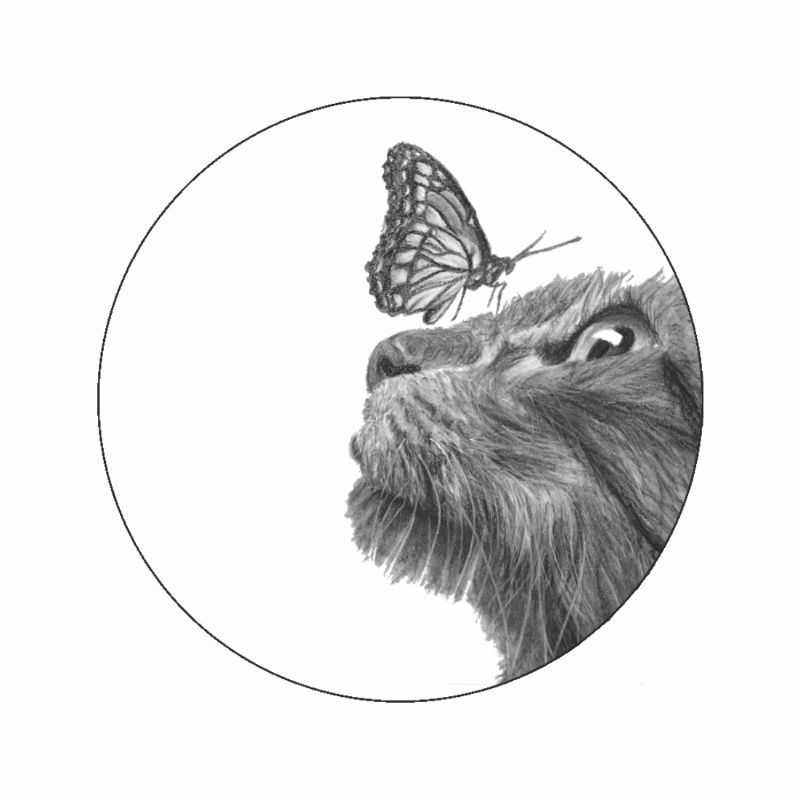 Stickers | Art by Meer