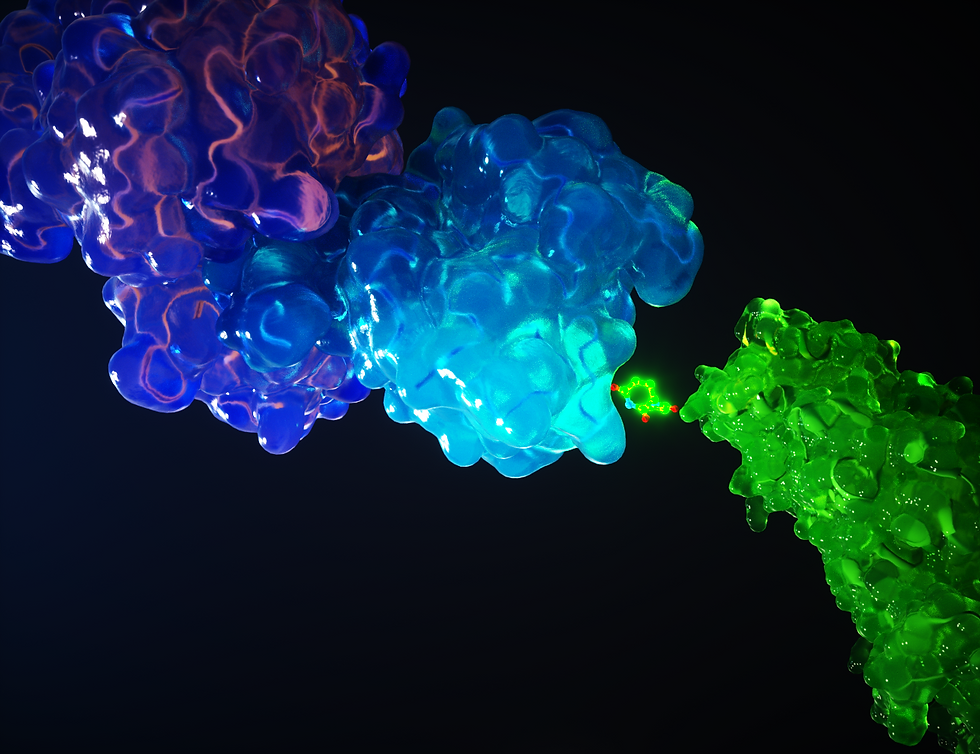 Ichikawa Lab | Cornell University