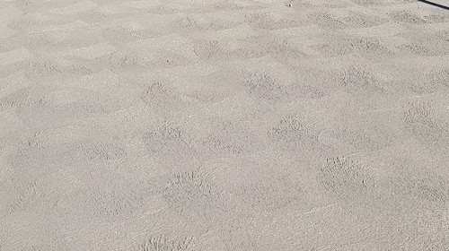 New Concrete Driveway - Cove Finish (Price per m2) | myDriveway