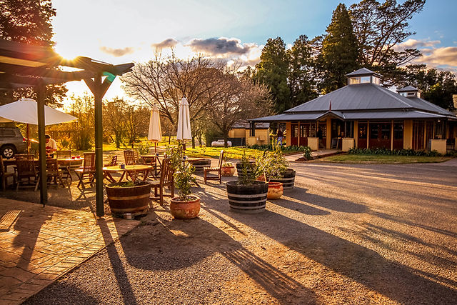 Tractorless Vineyard @ Eling Forest Estate – Southern Highlands Winery ...