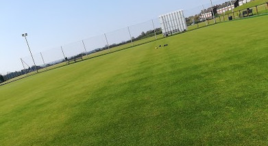 Birmingham Cricket | Coombs Wood Cricket Club