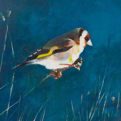 Goldfinch | Jamie Oldham