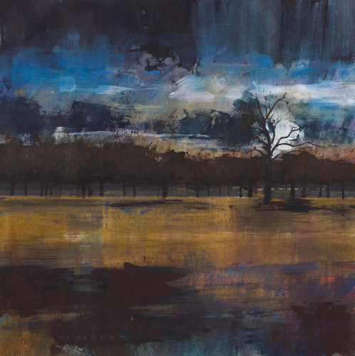 Winter light in Bushy Park | Jamie Oldham