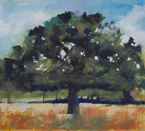 A mighty oak in Bushy Park | Jamie Oldham