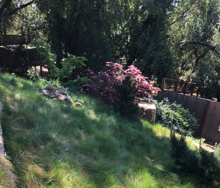 Maximizing Your Early Spring Garden: Planning and Design Tips