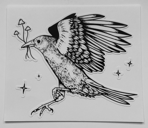 Crow - Vinyl Sticker | Coral Nathan
