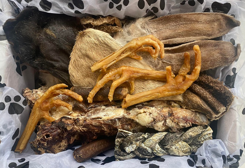 RAK Ultimutt Dog Treat Box | Team Waggles