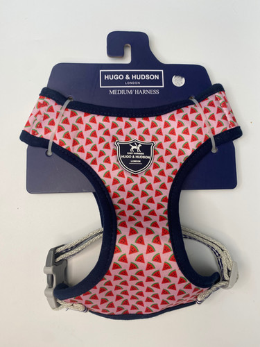 Hudson extra small watermelon harness ~ 50% off | Team Waggles