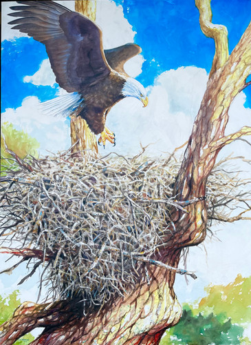 American Made | Lee Steadman