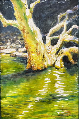 Summer Emerald | Lee Steadman