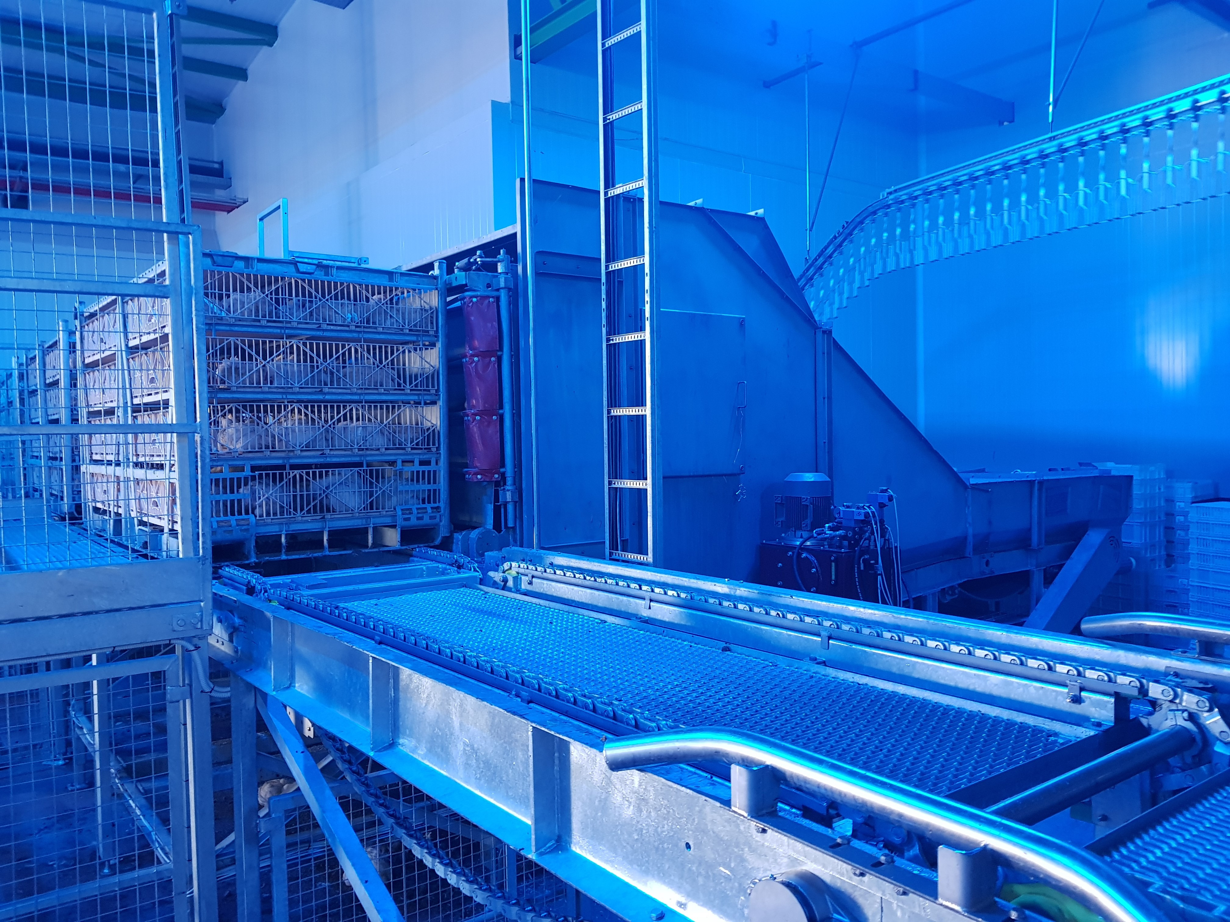 CAS TILTING UNIT AND WIDE BIRD CONVEYOR