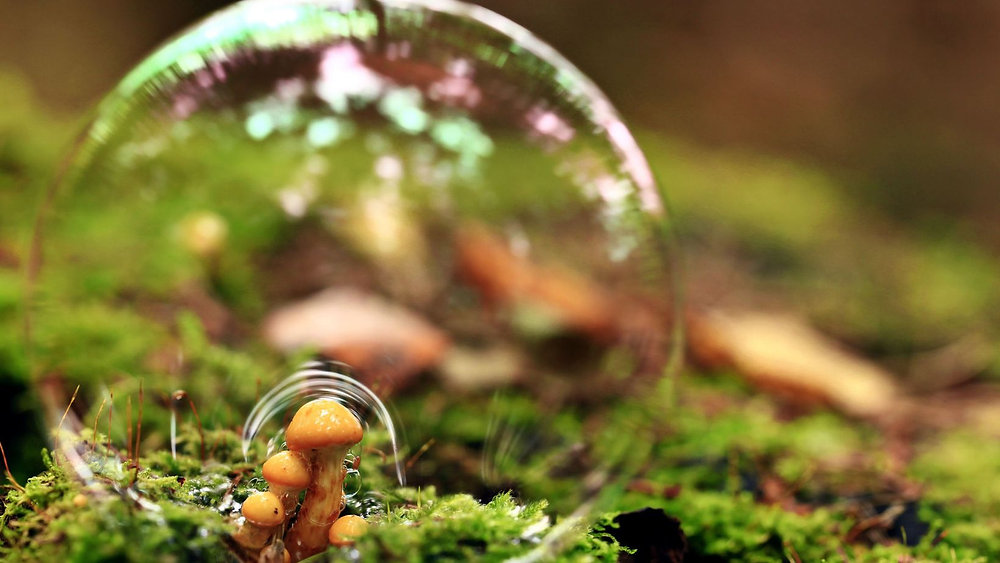 What is IDF Technology?