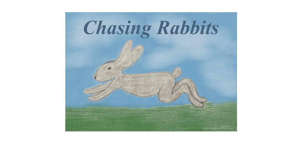 Chasing Rabbits