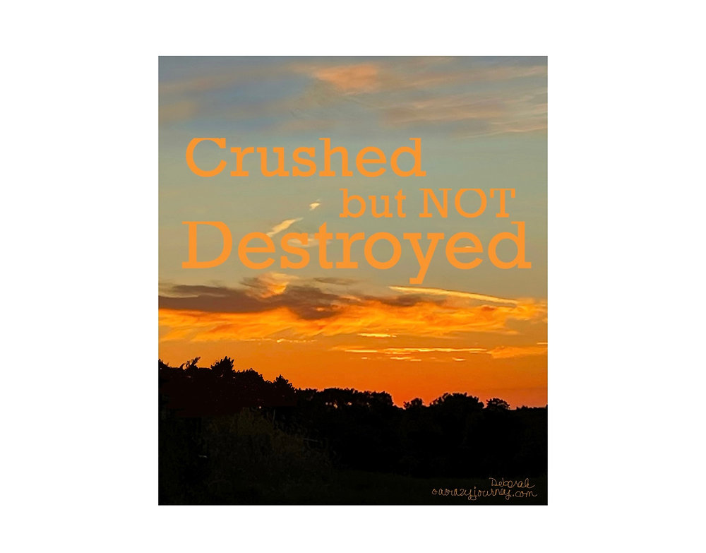 Crushed but NOT Destroyed