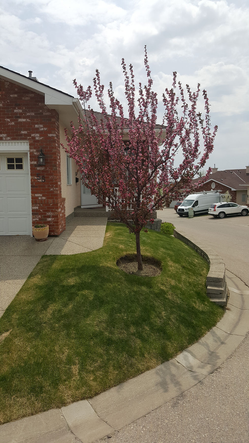 TREE SALES | Vollmin Trees