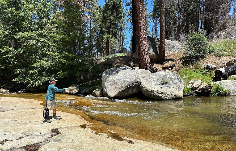 7 Fly Fishing Tips For All Levels [WITH VIDEOS!]