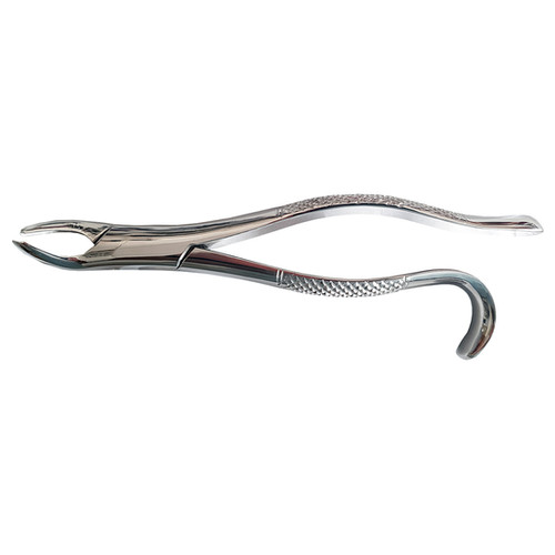 #18R Extracting Forceps | RougeMed