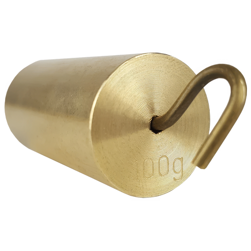 Hooked Brass Weight, 100 grams (Pack of 10) | Science Outside