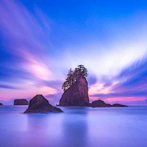 Environmental Science Case Studies Collection Vol. 2 | Science Outside