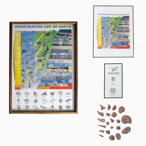 Scott Resources 567 - Geological Fossil History Chart with 21 Plastic ...
