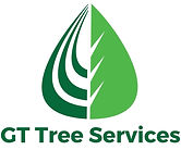 GT Tree Services | Providing professional tree, hedge and topiary ...