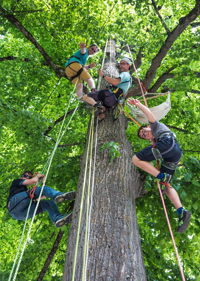 Découverte grimpe d'arbres | Haut Perché Grimpe