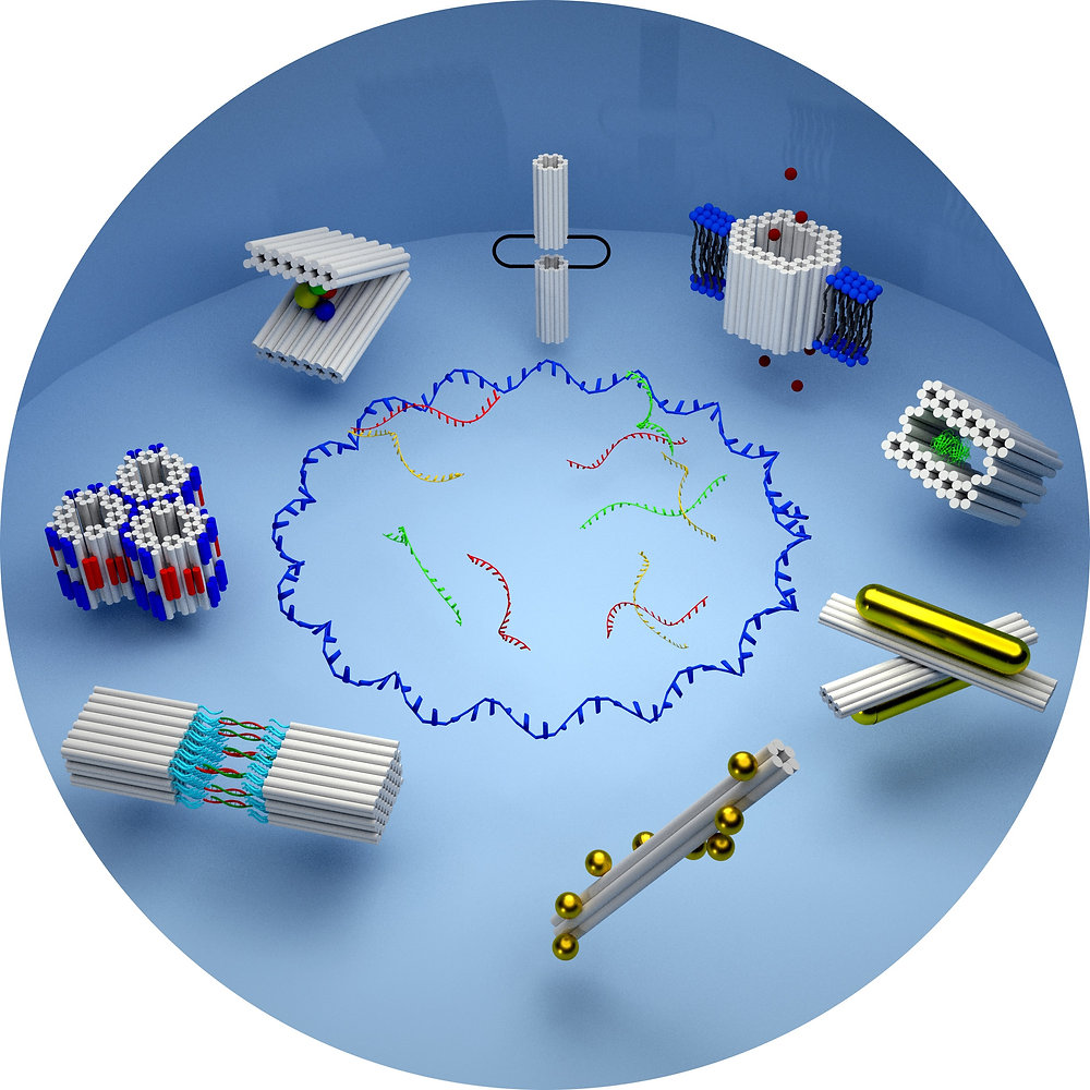 3D DNA Origami Nanoparticles: From Basic Design Principles to Emerging ...