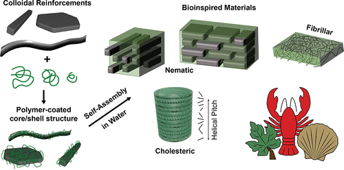 Self-Assembled Bioinspired Nanocomposites
