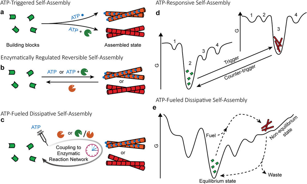 ATP‐Responsive and ATP‐Fueled Self‐Assembling Systems and Materials