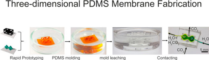 Print your Membrane: Rapid Prototyping of Complex 3D-PDMS Membranes via ...