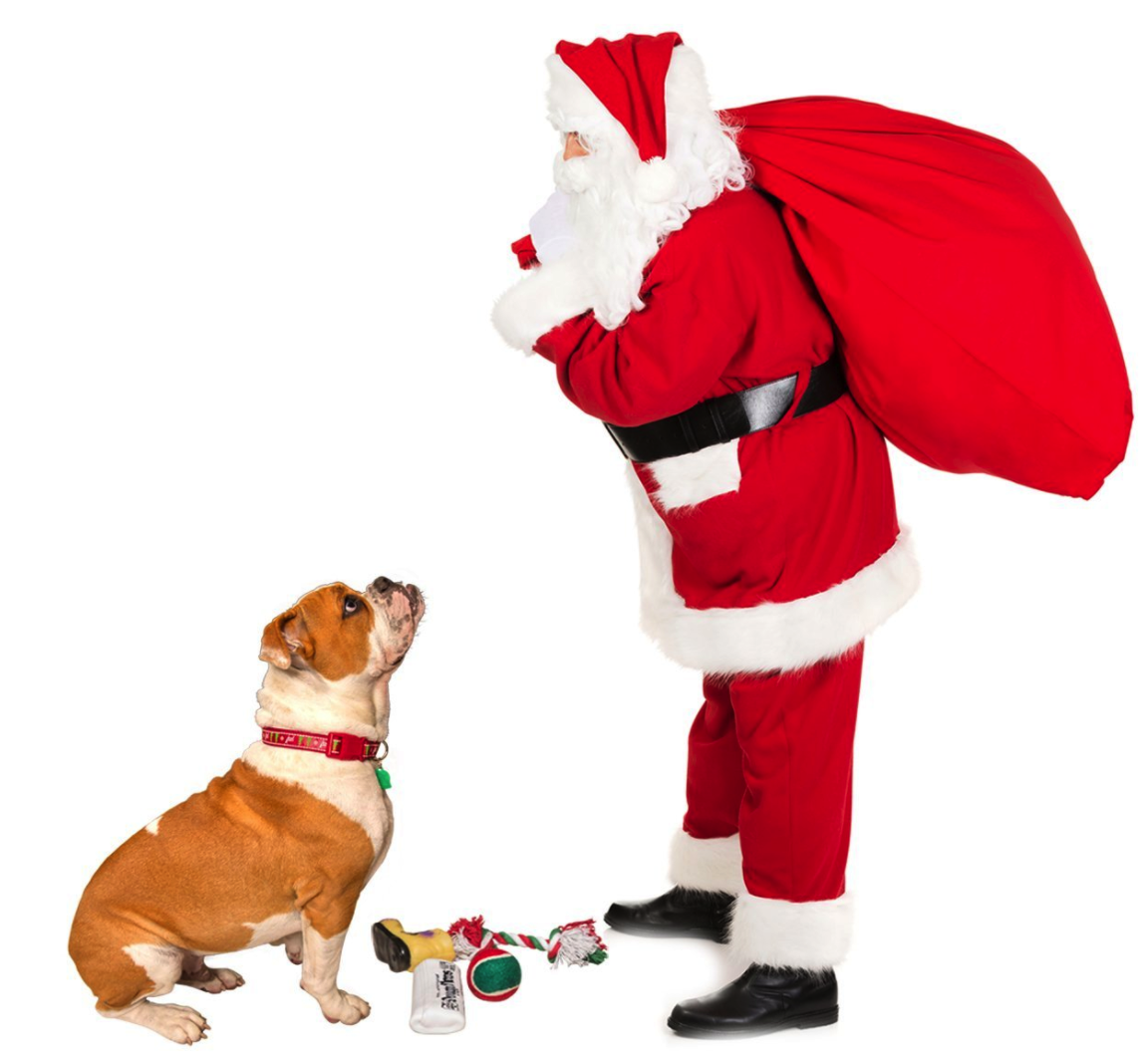 Christmas and Holiday gifts for your dog! | Dog Dude Ranch Cage Free ...