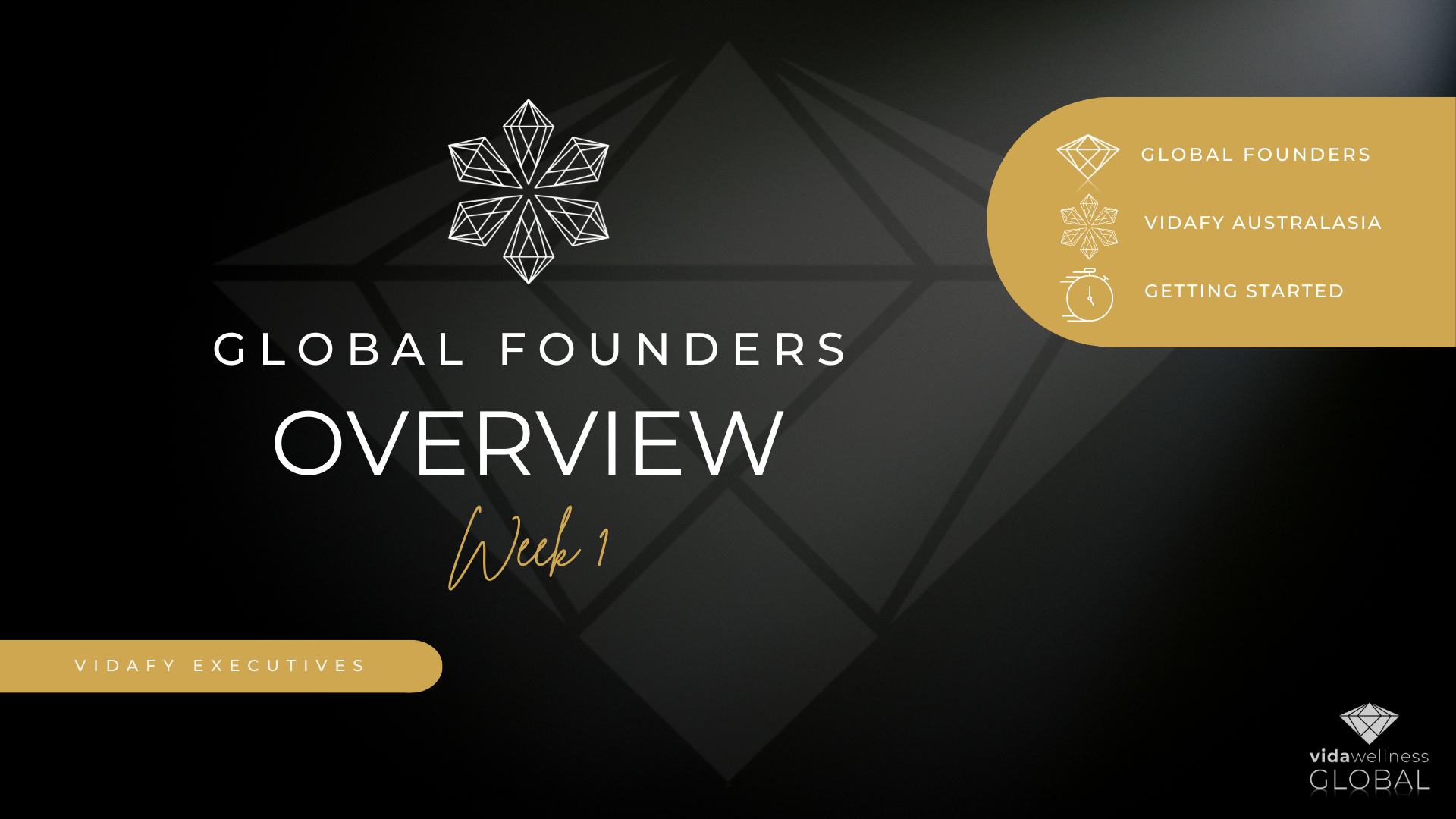 Global Founders Overview | Vida Wellness Global