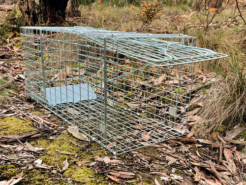 Fold flat cage trap | Pilkarra Traps