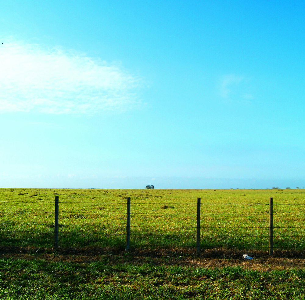 A Quick Guide to Rural Fencing