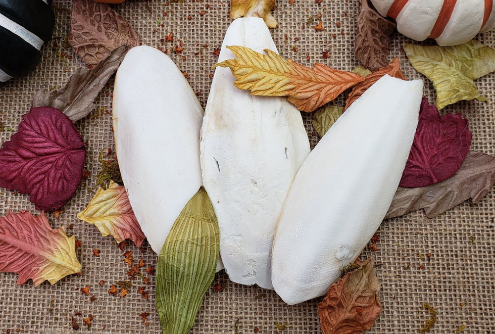 What do Isopods Eat?