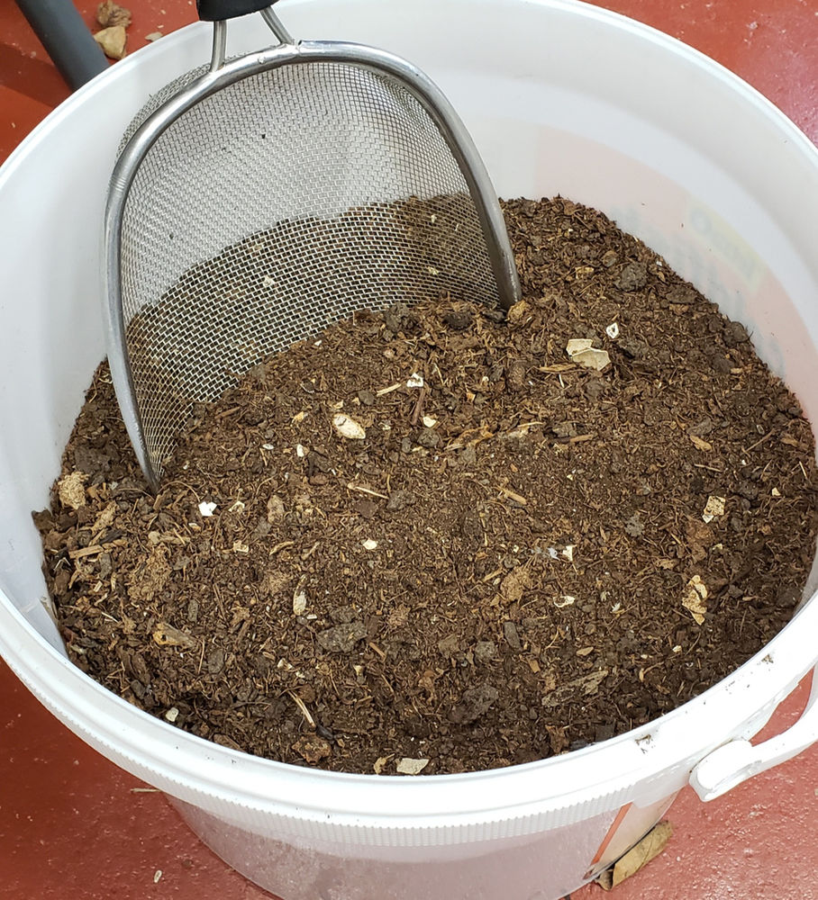 Changing Isopod Substrate