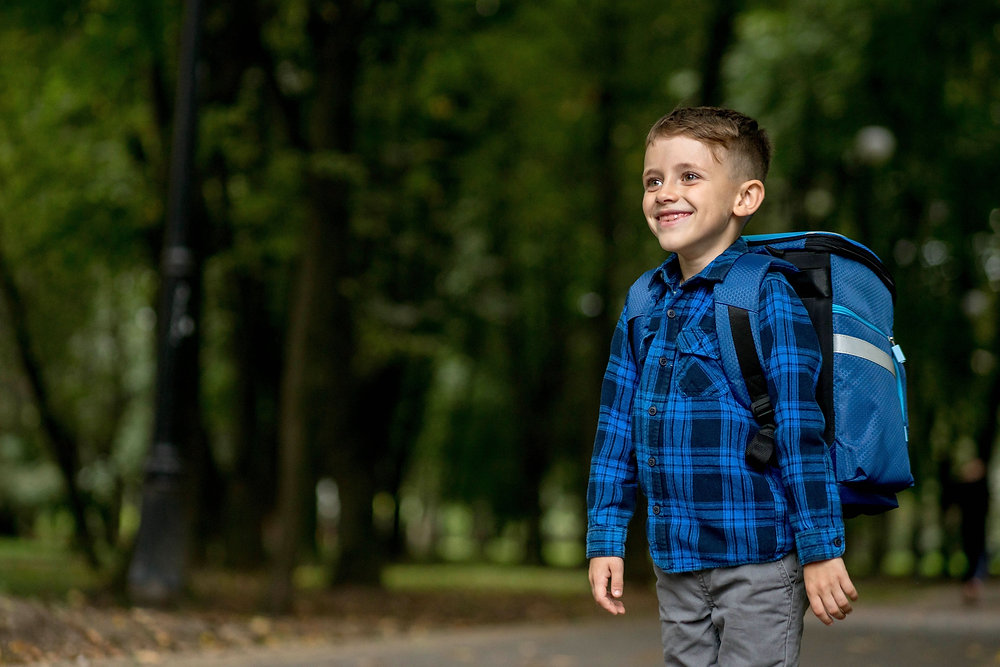 Half term Ideas With STEM half-term-ideas-with-stem