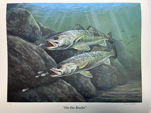 "On The Rocks" 15"x18" | Calvin Carter Art