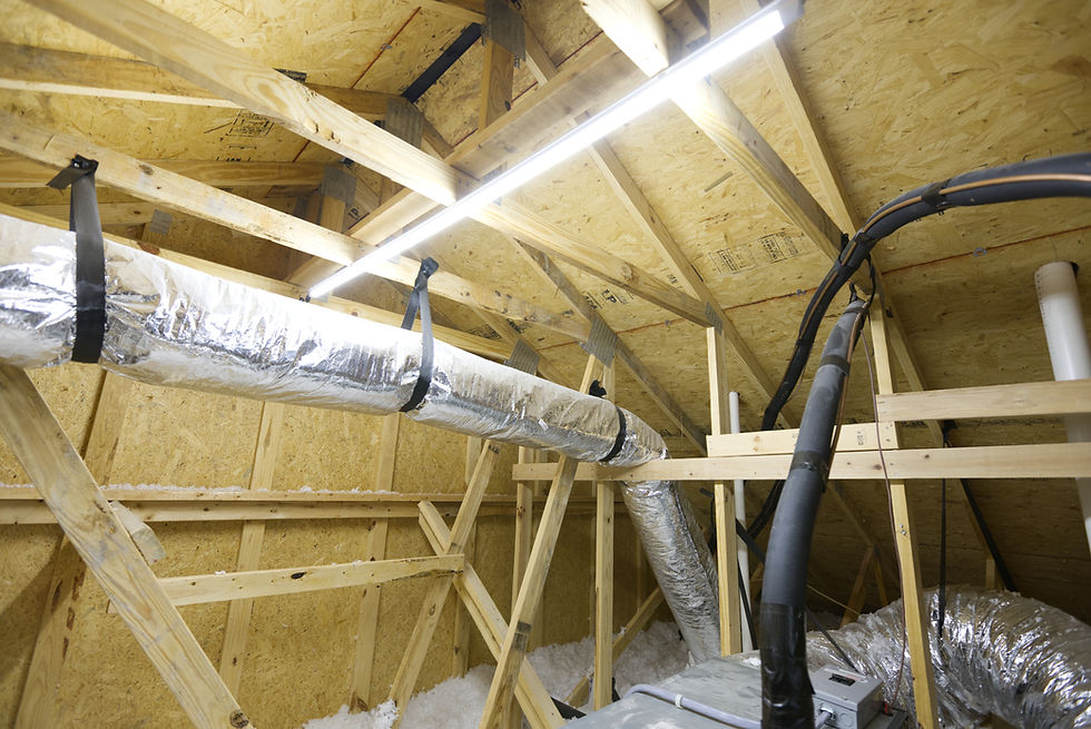Cave Light | Garage Attic Crawlspace Lighting Evolved