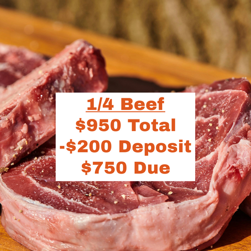 1/4 Beef Deposit | Tuscarora Farm