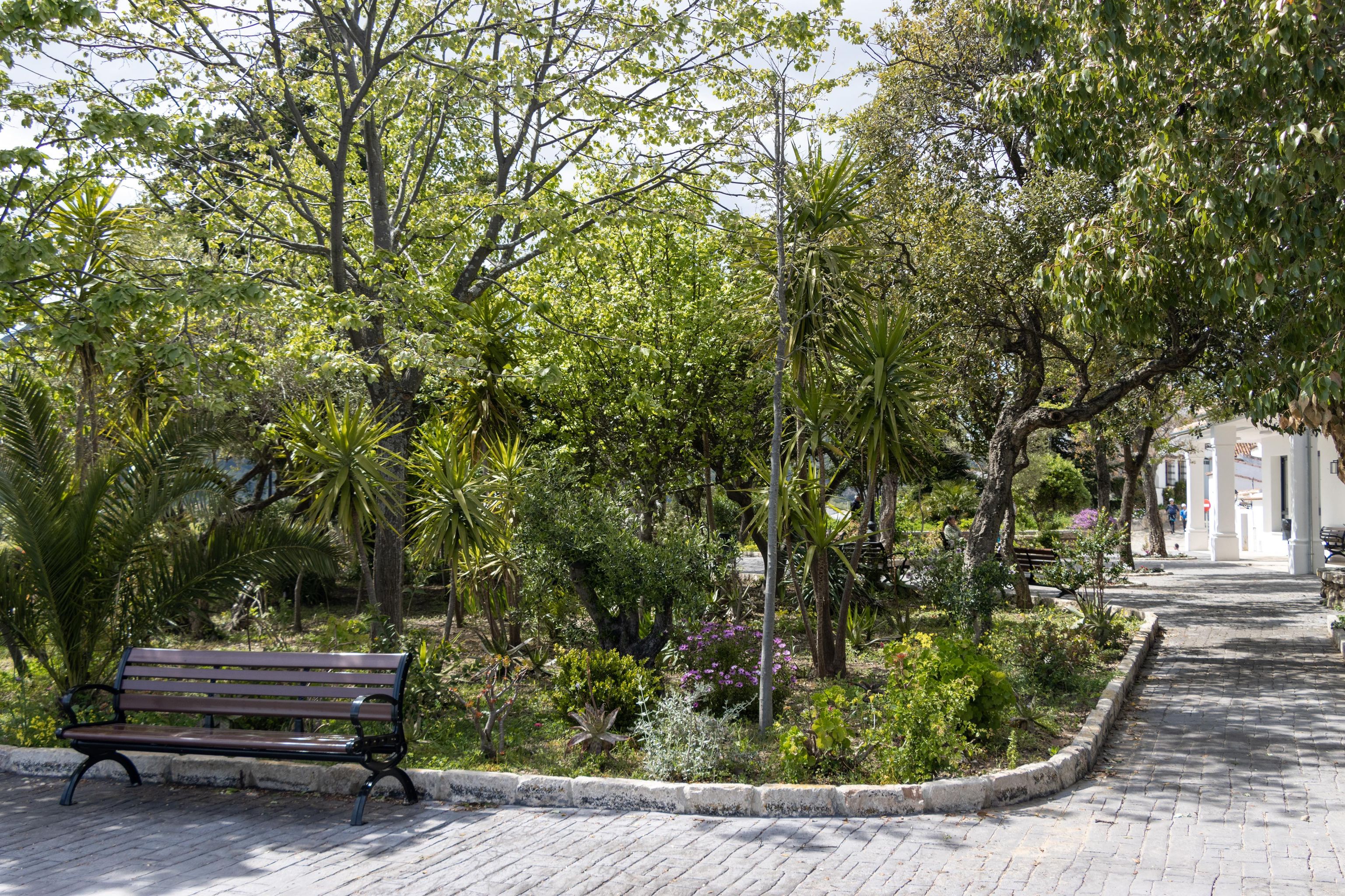 The Best Things To Do in Gaucín | Krista the Explorer