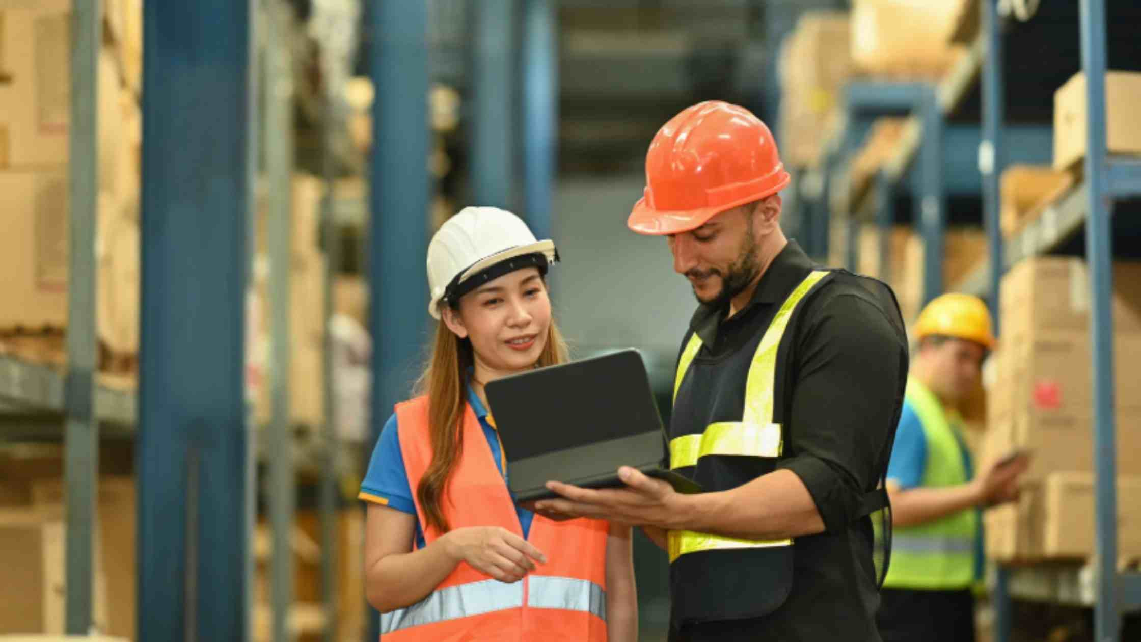 EHS Audit Strategies for Multinational Organisations