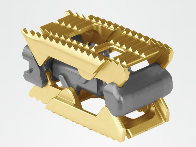 Globus Medical RISE. Interbody Fusion Device. Lumbar/T-Lumbar. Non-Bone ...