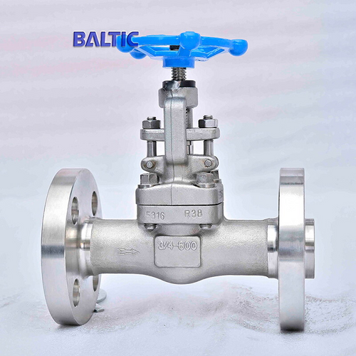 Válvula de globo de 3/4", 600 lb, API 602, ASTM A182 F316, RF | My Site 1