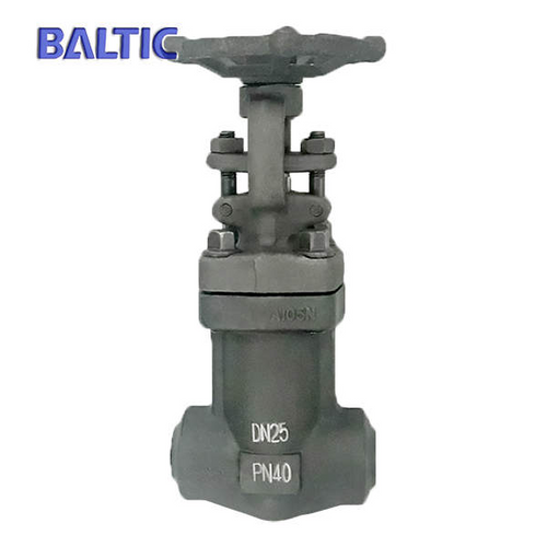 Válvula de globo con sello de fuelle, ASTM A105N, DN25, PN40, extremos ...